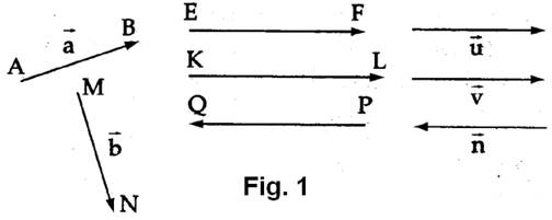 Siç dihet, vektorquhet segmenti i orientuar nё tё cilin dallohet ...